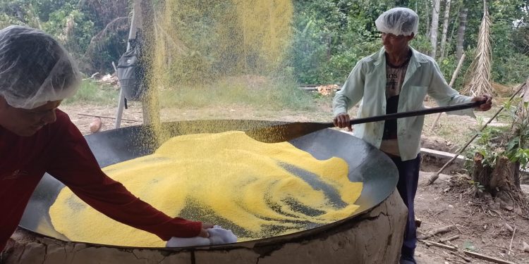 Farinha de Uarini é declarada Patrimônio Cultural do Amazonas - MSKTV